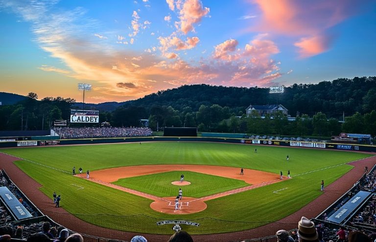 History of Calfee Park Pulaski, VA | Reason of Its Significance